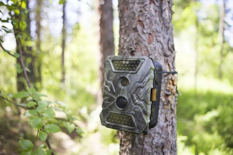 Installation et Configuration de Votre Caméra de Chasse : Étapes Clés ... Installation et Configuration de Votre Caméra de Chasse : Étapes Clés ...