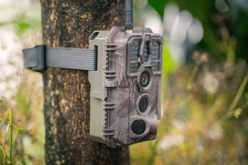 Les Meilleures Pratiques pour le Placement et l’Angle de Votre Caméra de Chasse – Le Choix Idéal